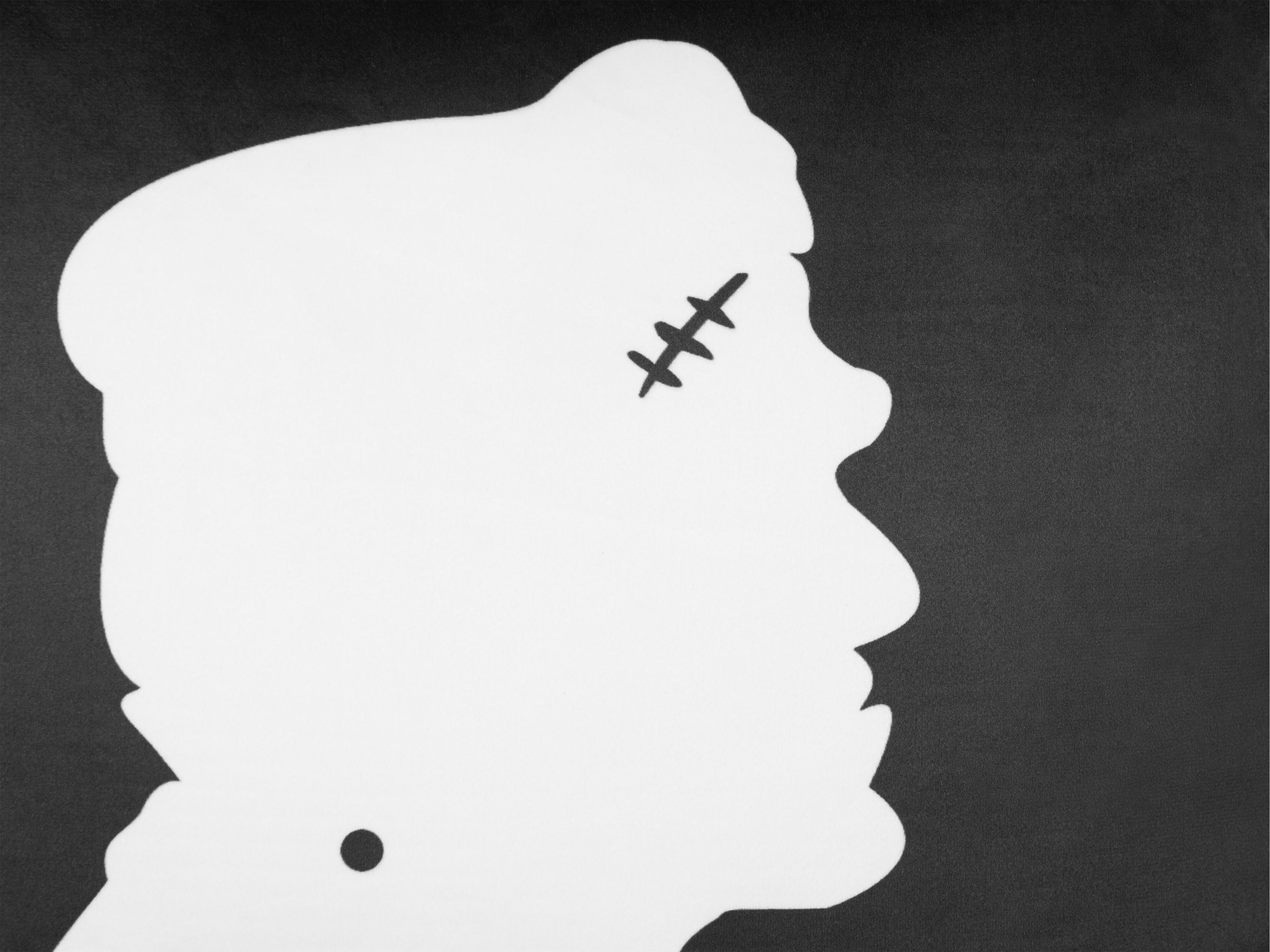 Lot de 2 coussins en velours motif Frankenstein 45 x 45 cm noir et ...