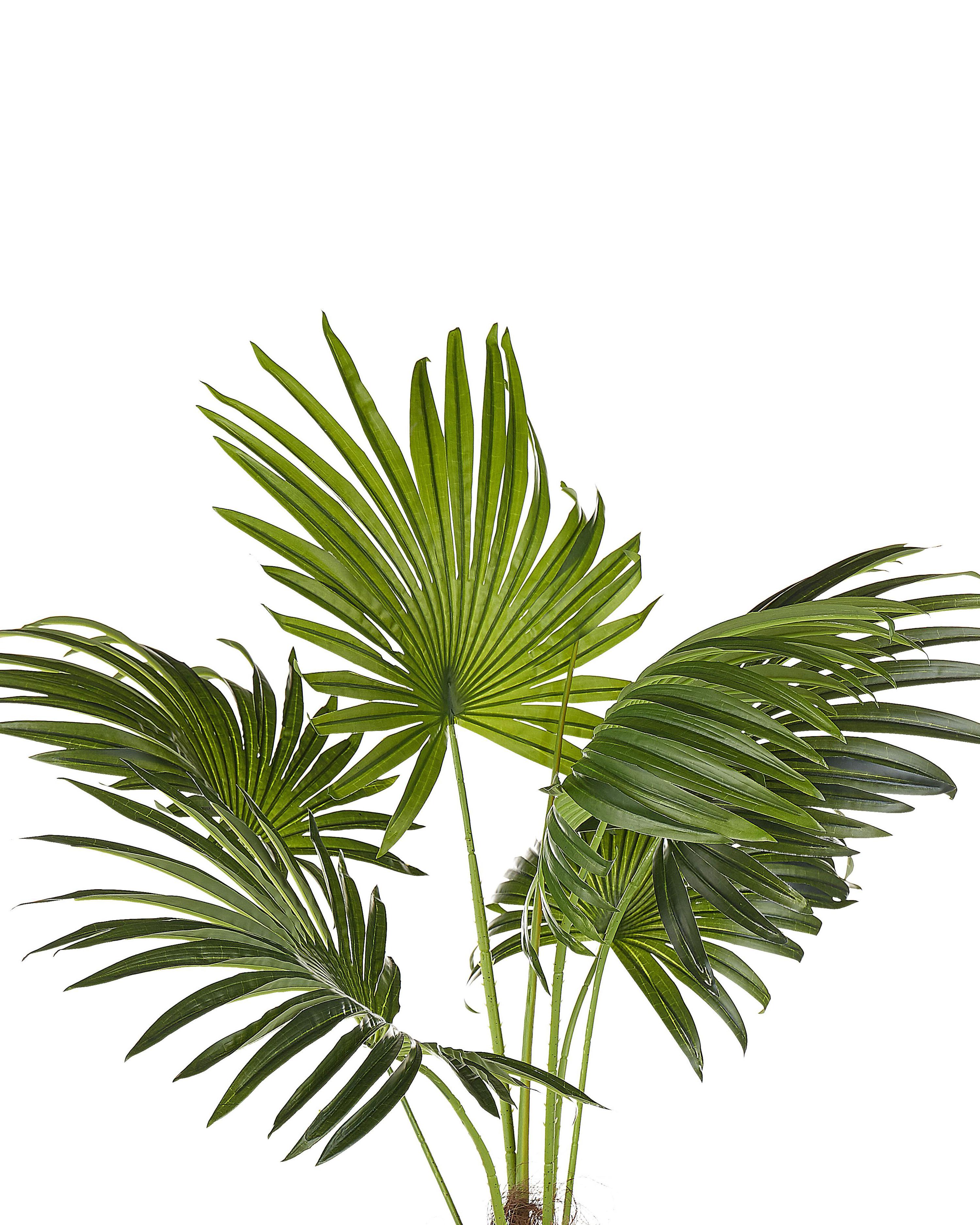 Artificial Potted Plant 100 cm FAN PALM | Beliani.co.uk