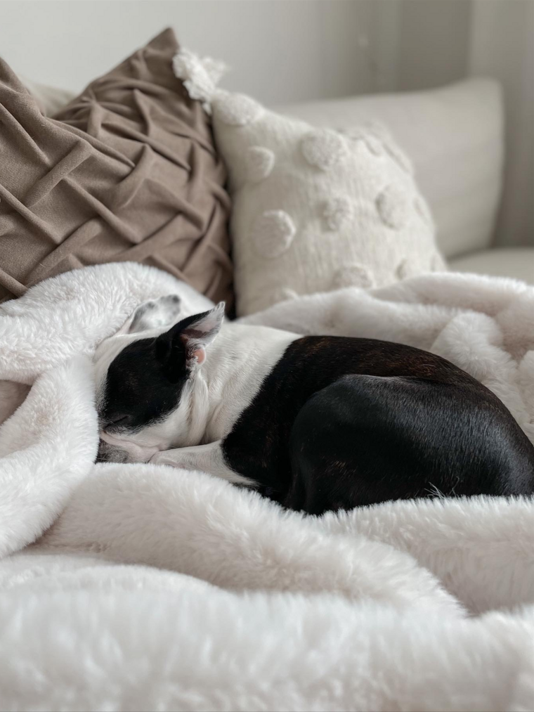 Blanket 200 x 220 cm White CHAAB | Beliani.co.uk