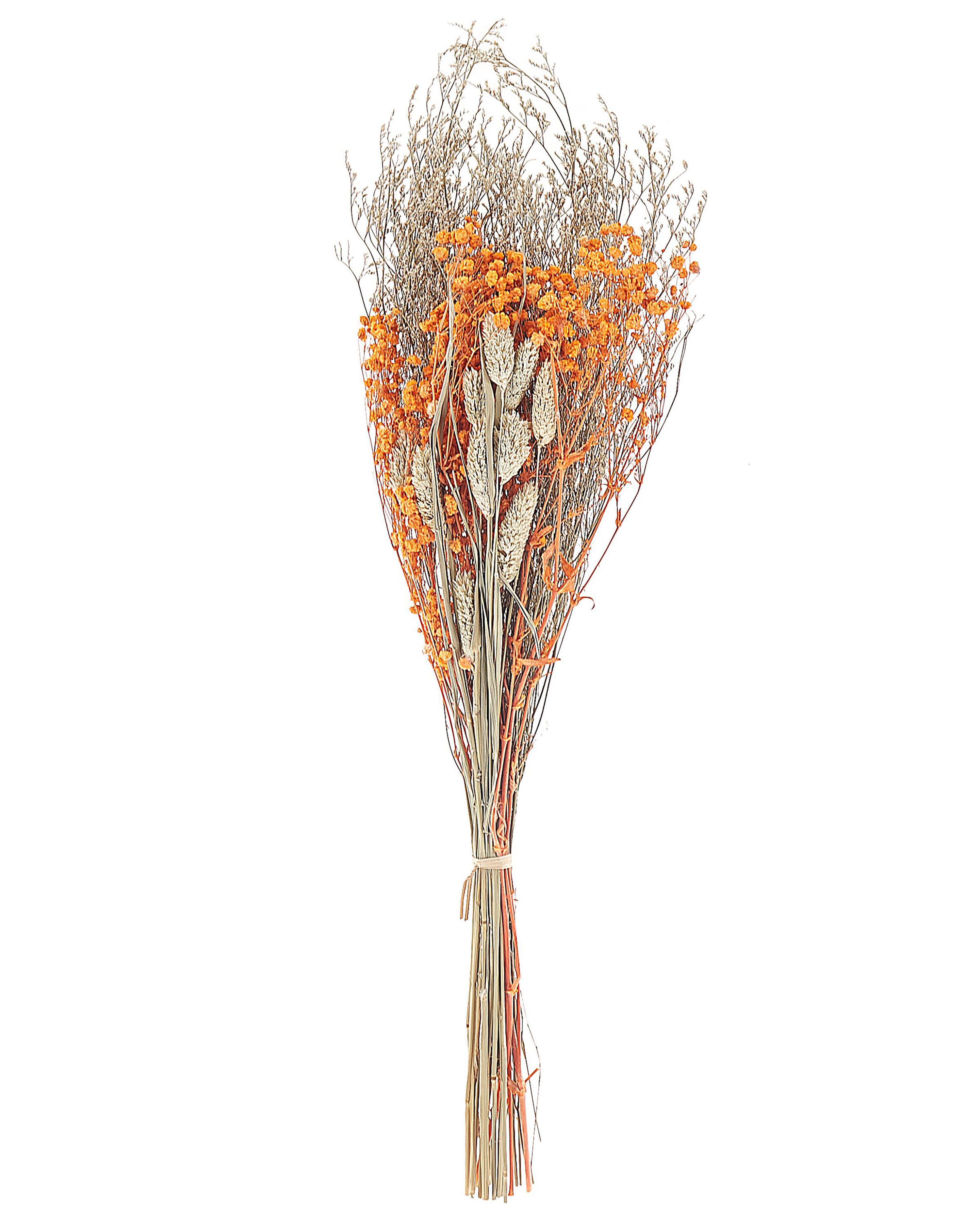 Dried Flower Bouquet 65 cm Orange CERCEDILLA | Beliani.co.uk