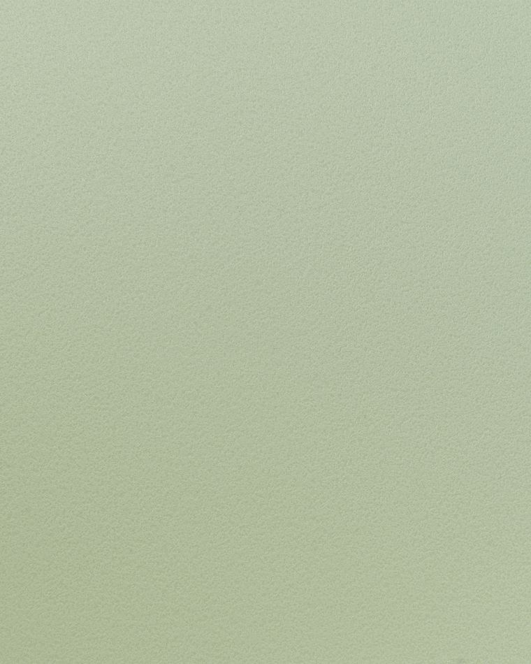Set of 2 Dining Chairs Light Green FONDA II | Beliani.co.uk