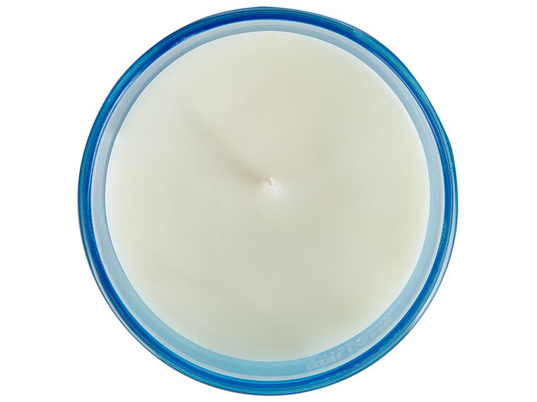 3 Soy Wax Scented Candles Bergamot/ Wind of Sea/ Sage Sea Salt SHEER ...