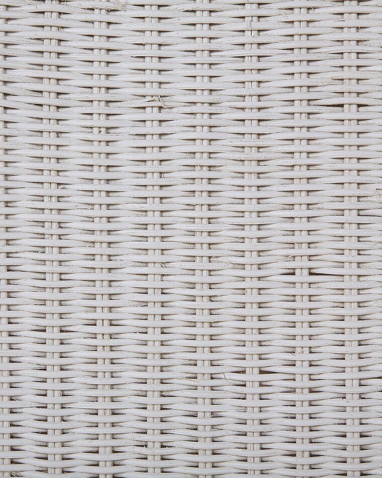 Lot de 2 chaises en rotin blanc ANDES | Beliani.fr