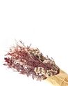 Ramo de flores secas cor de rosa 55 cm ARABA | Beliani.pt