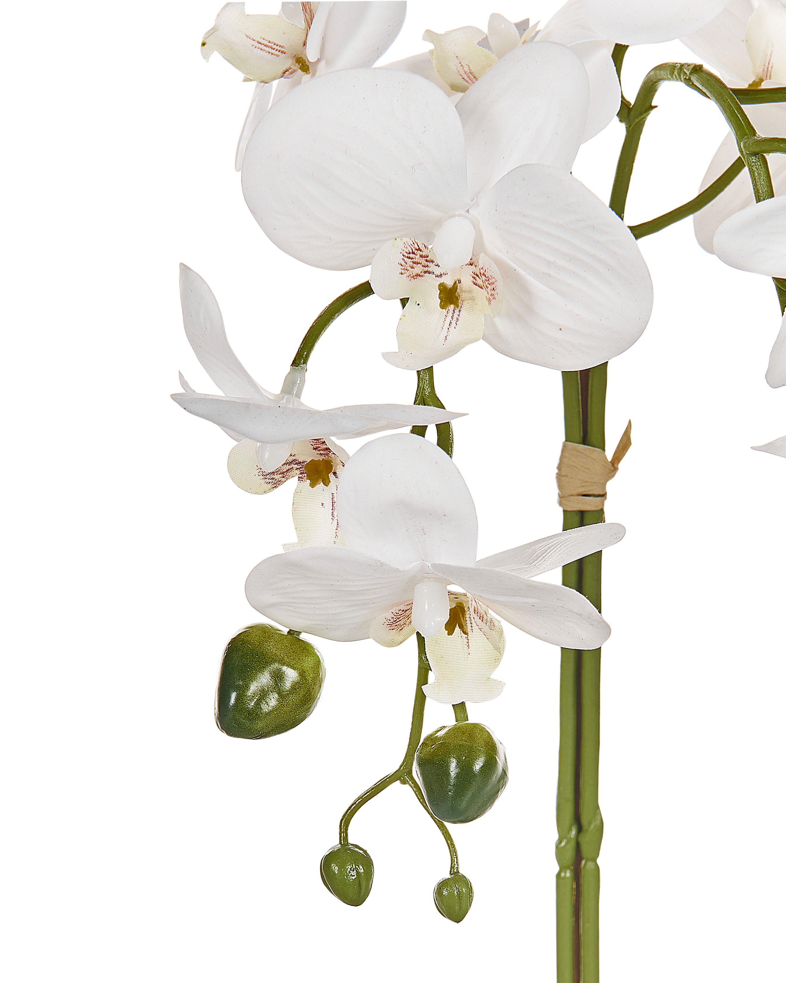 Artificial Potted Plant 42 cm ORCHID | Beliani.co.uk