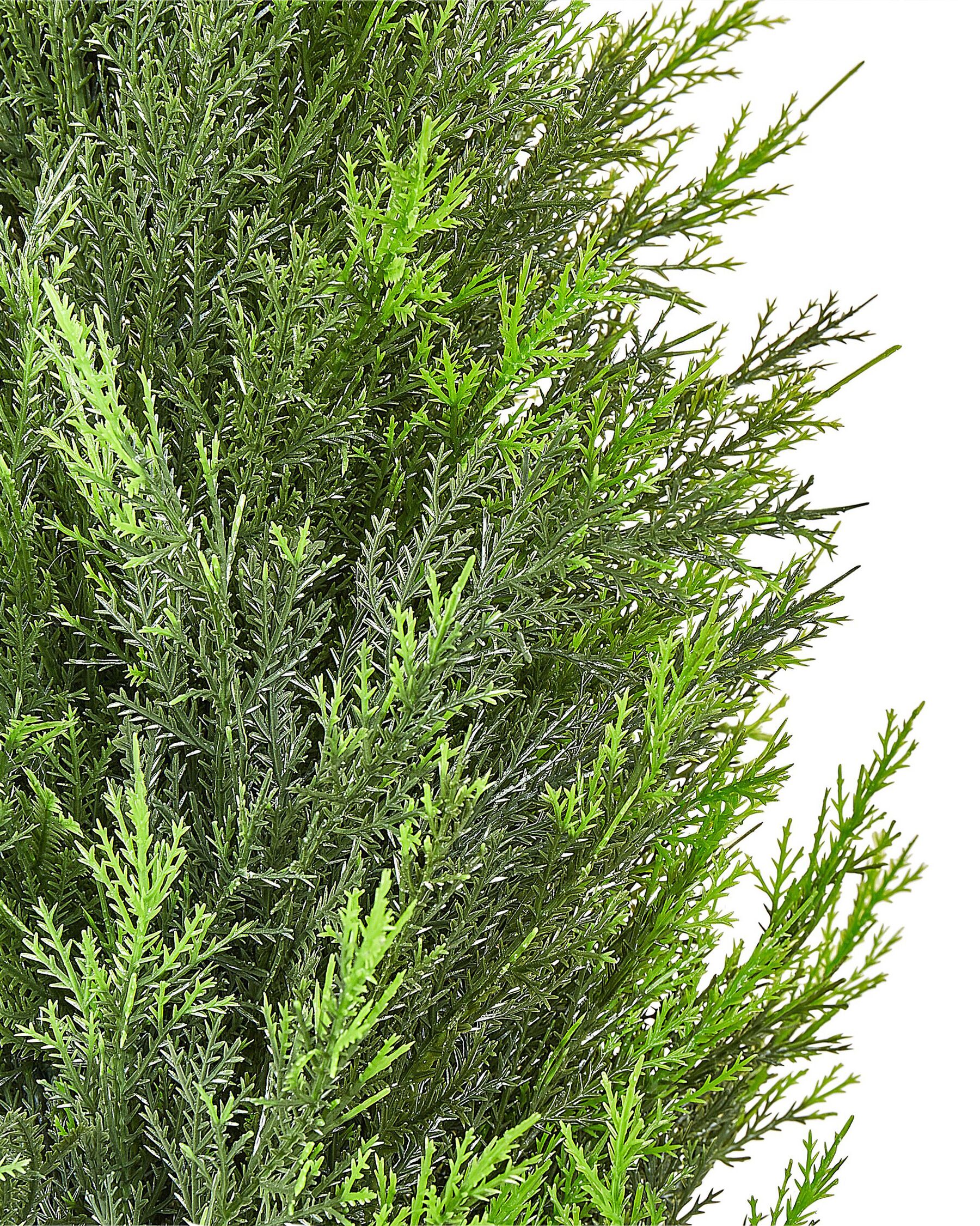 Planta artificial CEDAR TREE 120 cm Verde | Beliani.pt