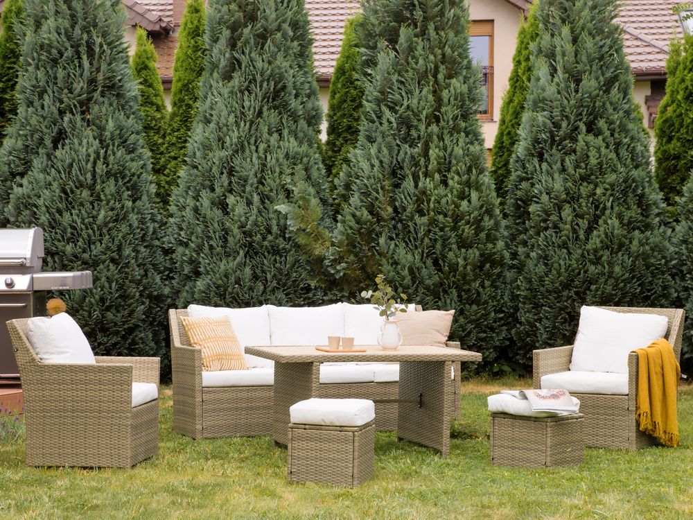 Rattan sofa set brown store