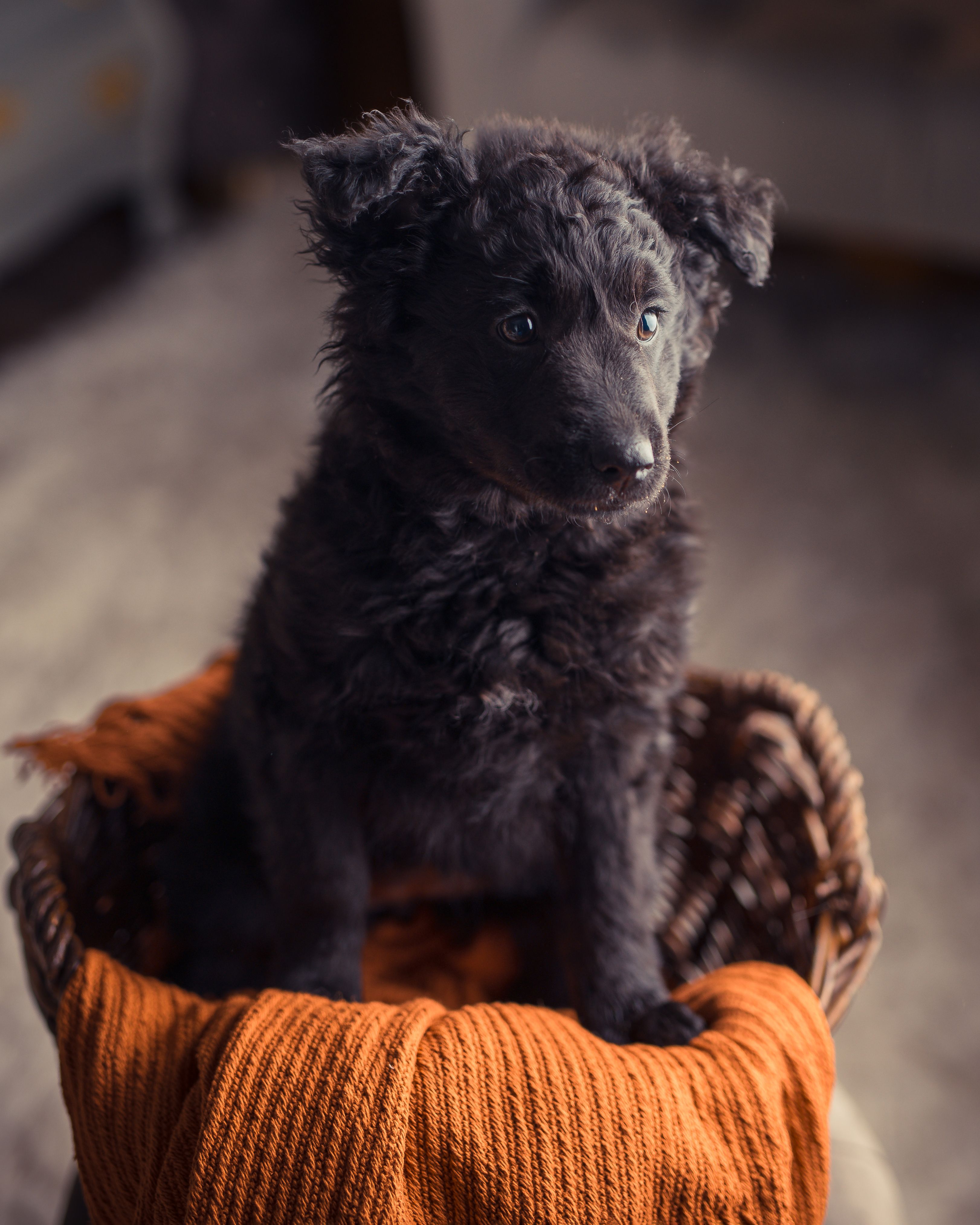 Plaid en coton 125 x 150 cm rouge YARSA | Beliani.fr