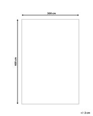 Rug ASPANI Off-White 300 x 400 cm | Beliani.co.uk