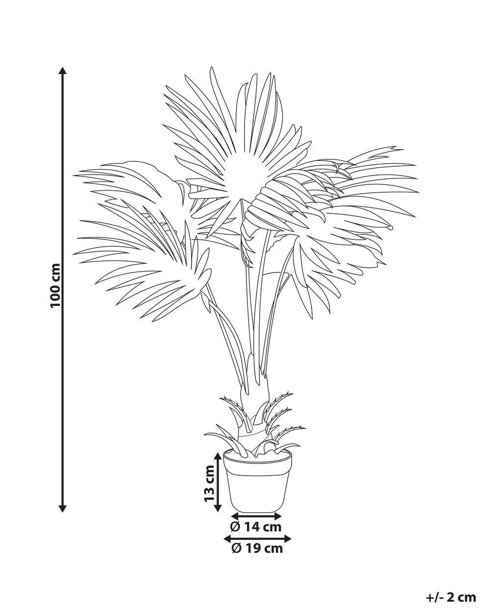 anahaw leaf coloring pages