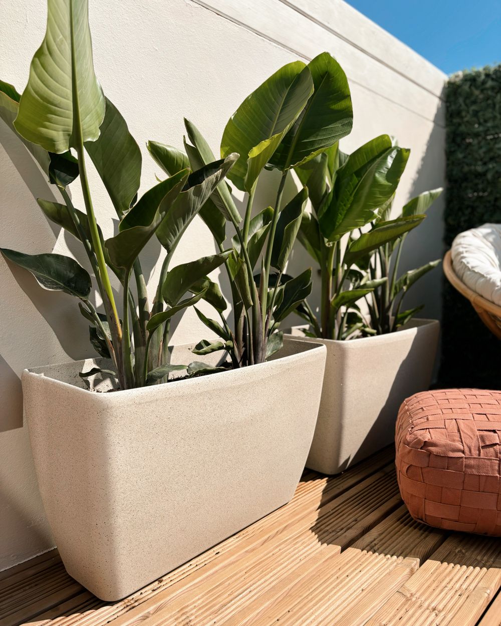 GM Genuine OEM Steering Gear Replacement GM Genuine Parts Steering Gear ...