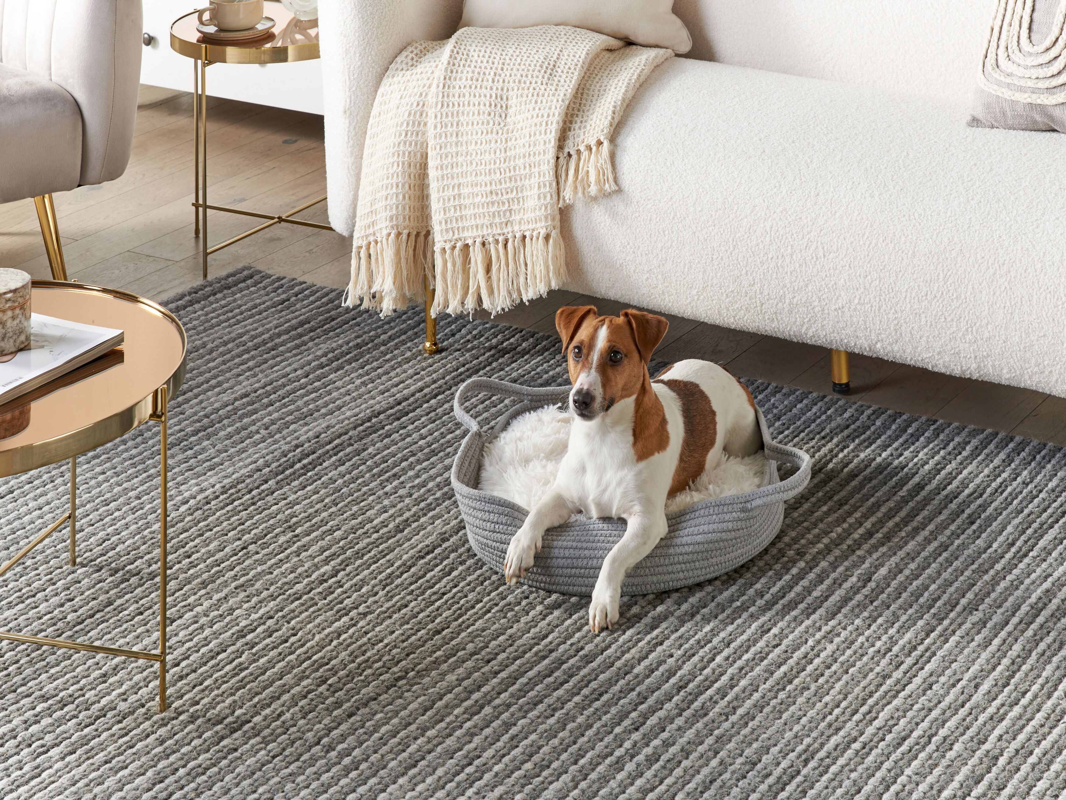 Cama para animais de estimação DALAMAN Algodão Cinzento | Beliani.pt