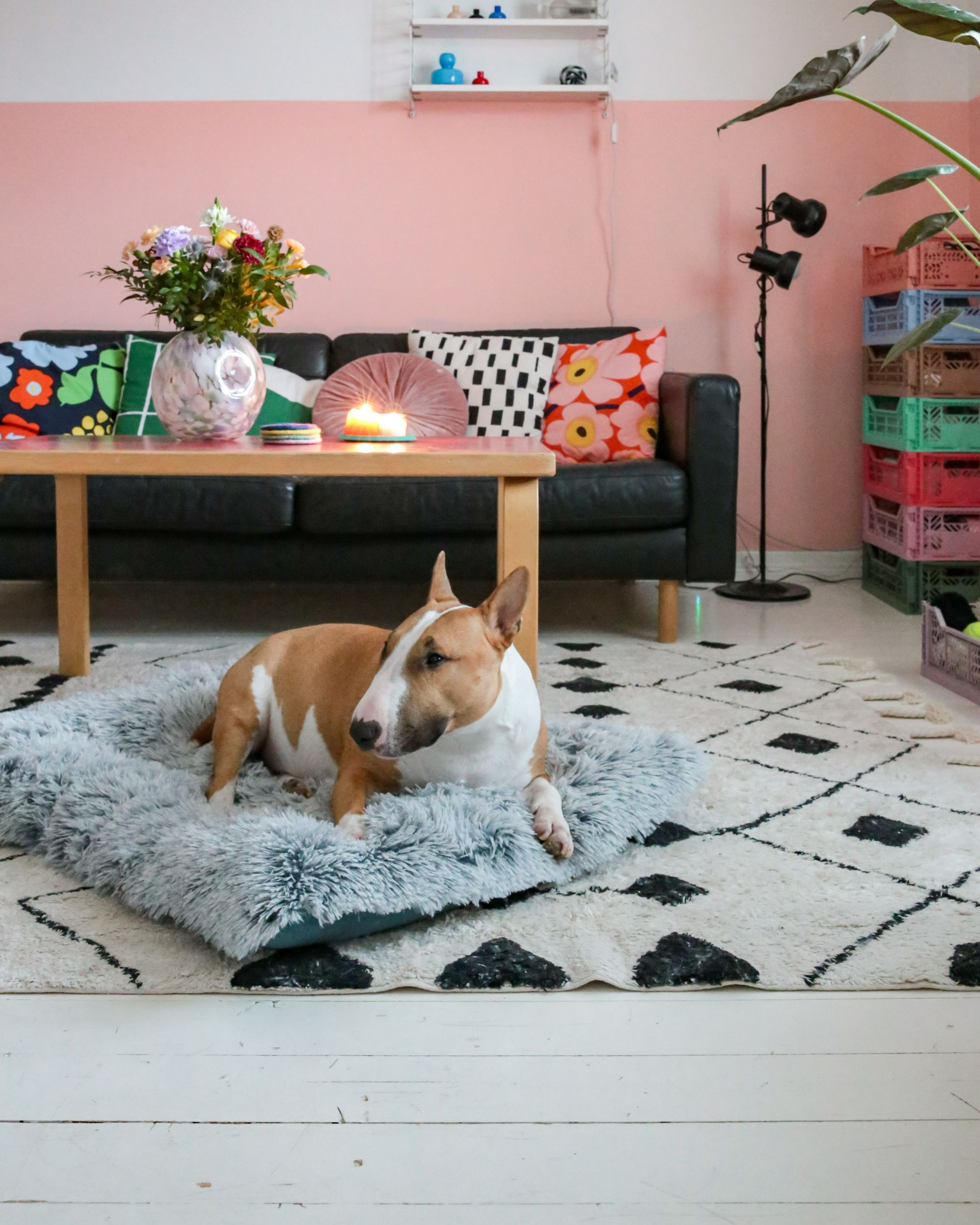 Lit pour animal ERGANI Velours Gris | Beliani.fr